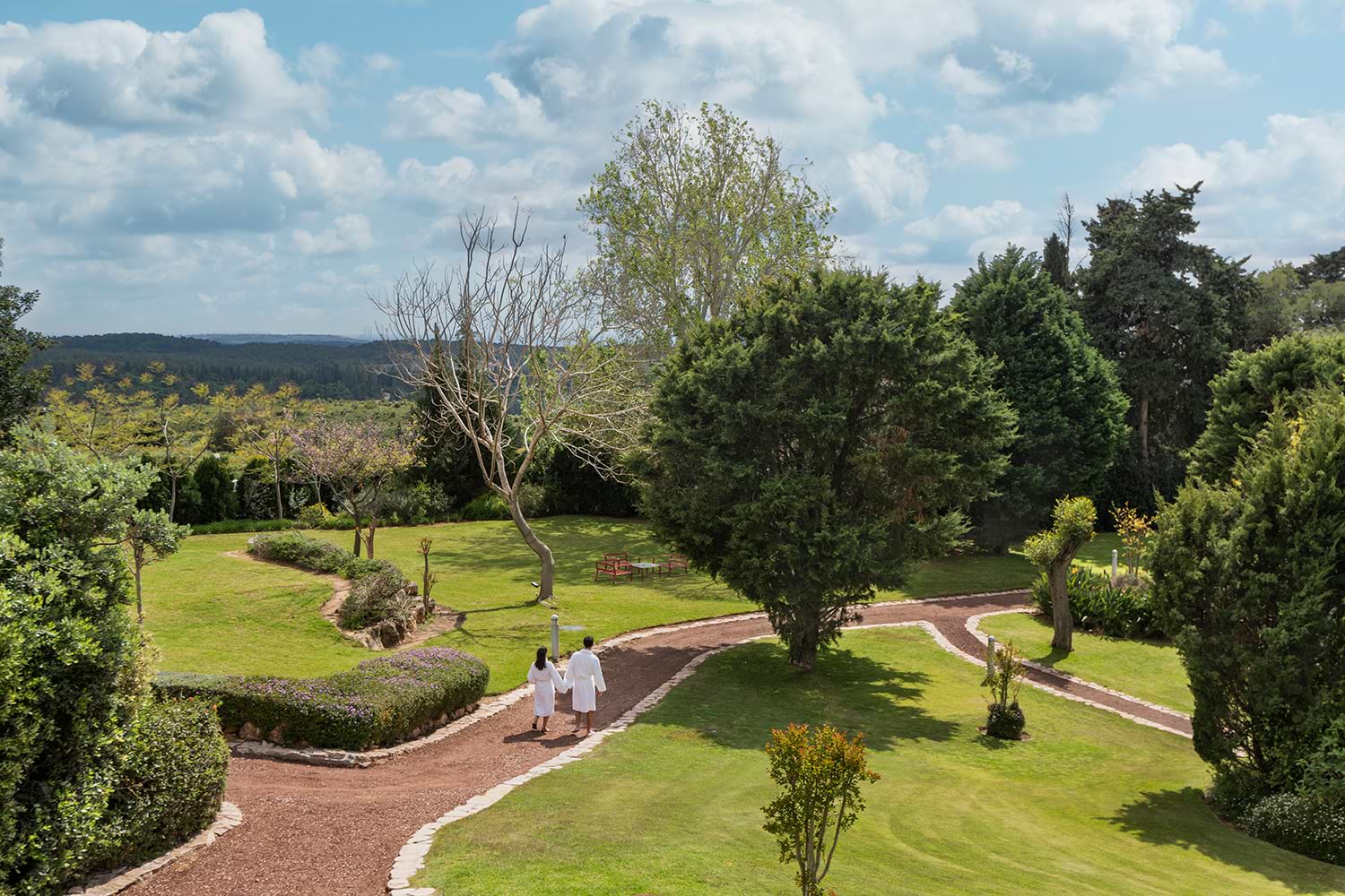 Carmel Forest Spa Resort – Isrotel Hotels