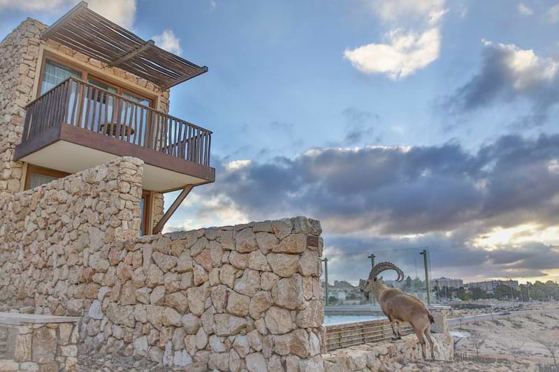 Beresheet Mitzpe Ramon, Isrotel, Negev