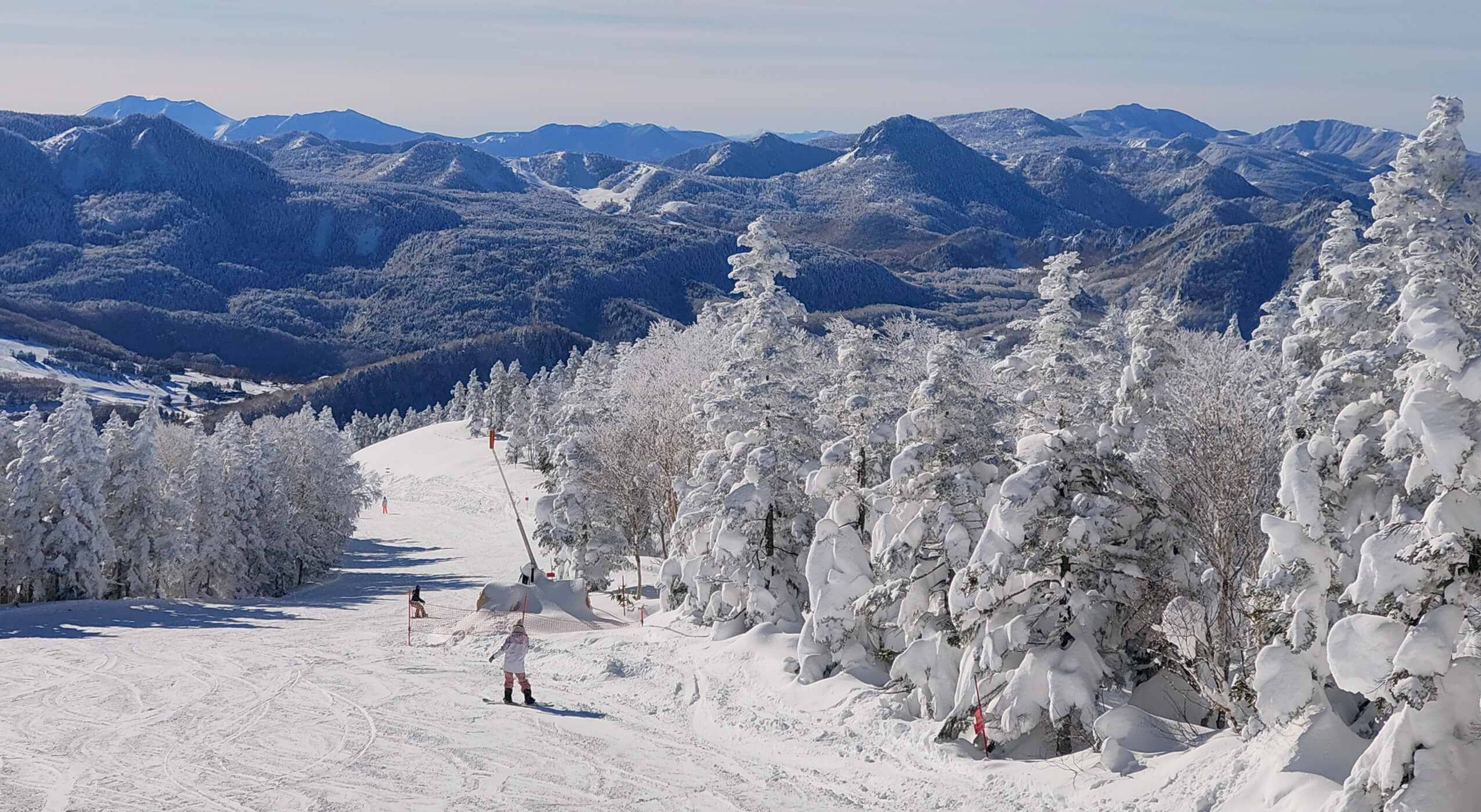 סמארטפון Nothing Phone (3a) 5G 256GB 12GB RAM - צבע שחור שנה אחריות ע י ...