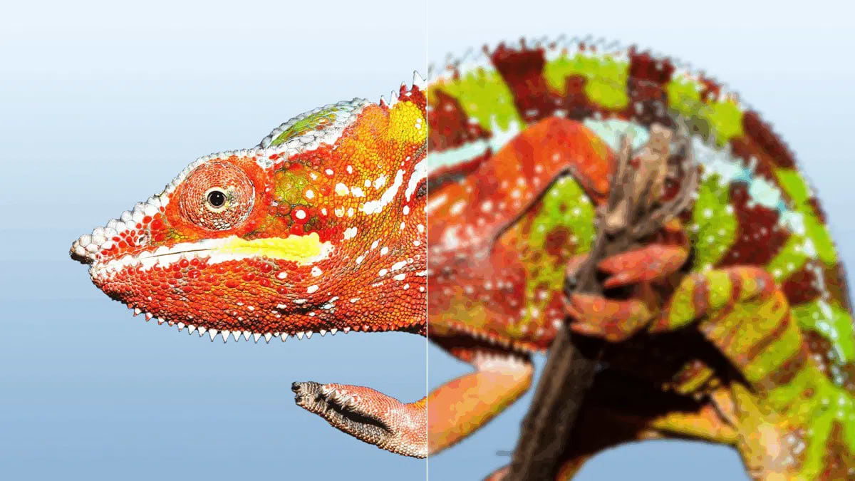 טלוויזיה חכמה TCL 32 32S41B Google TV LED - שלוש שנות אחריות ע י אלקטרה ...